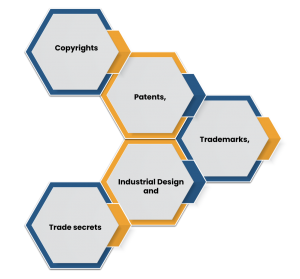 What are the Advantages and Disadvantages of IPR?